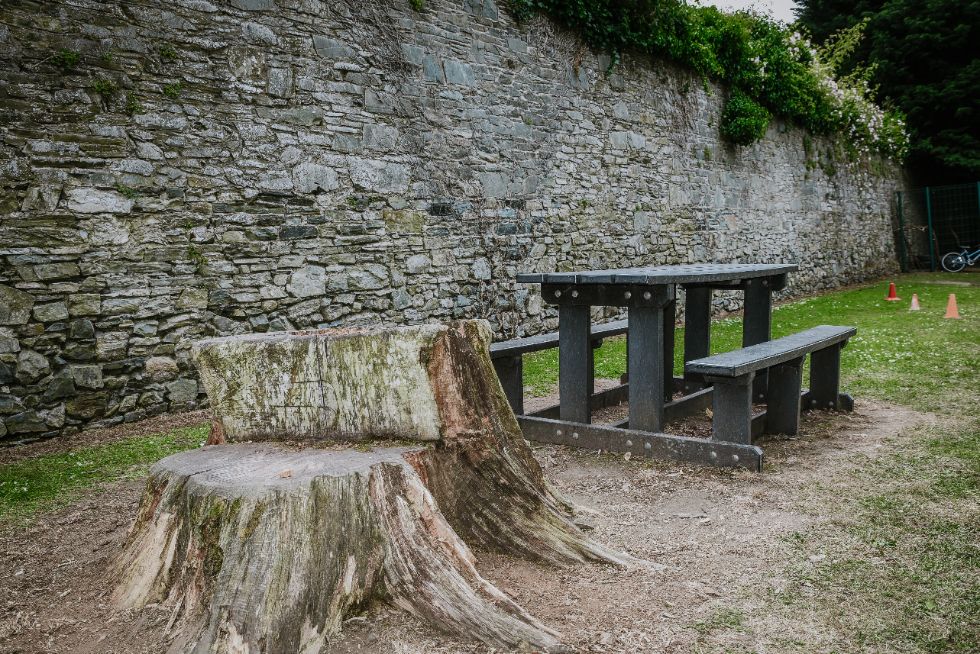 History of Kilbroney Integrated PS